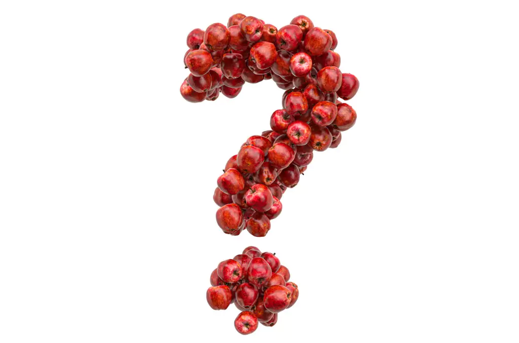 Why We Love Apples: 5 Fun Apple Facts! | Tanners Orchard